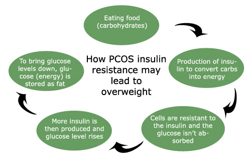 Polycystic Ovary Syndrome - Egea Medical Weight Loss Center
